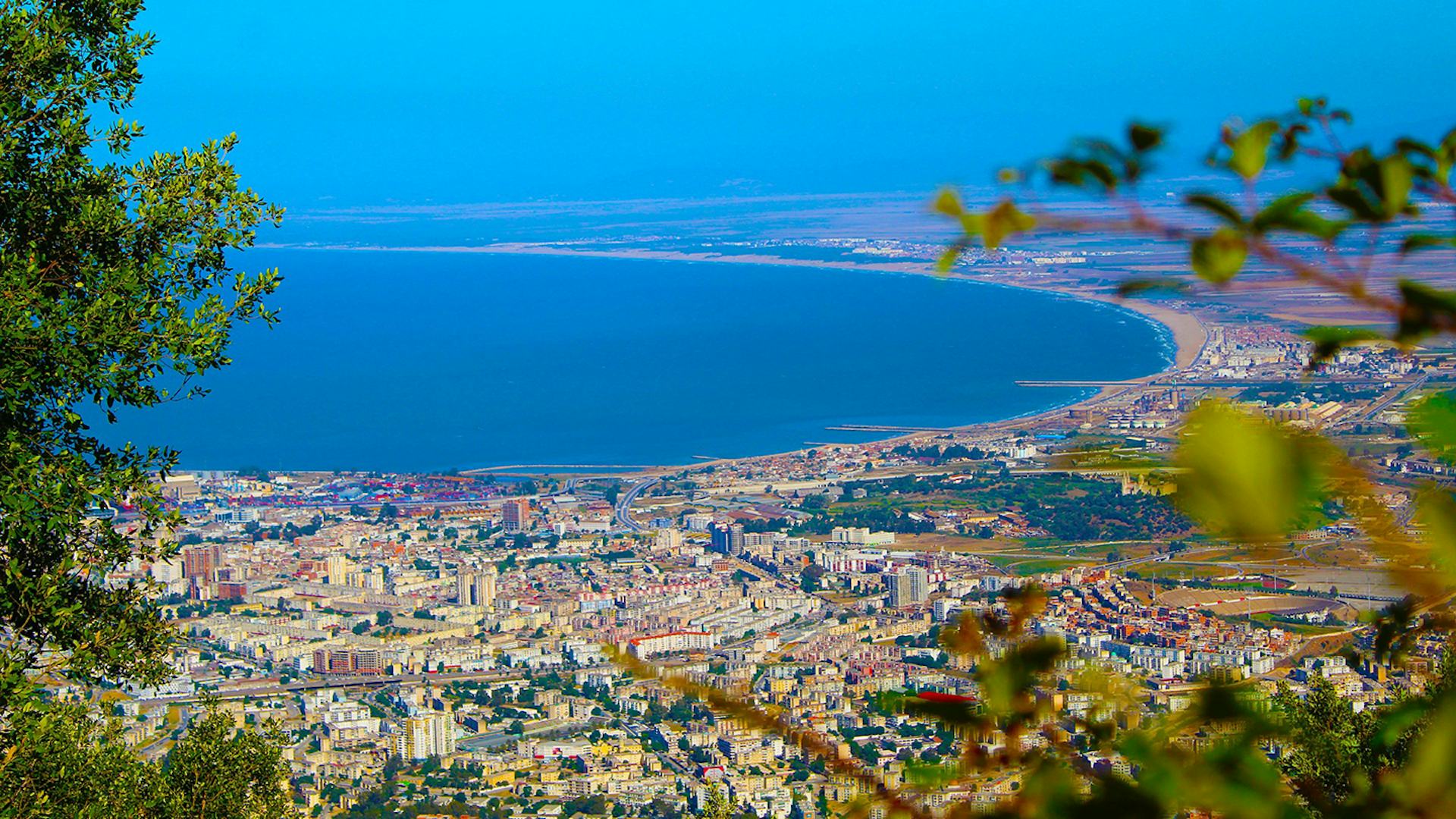 アルジェリア料理のおすすめ10選！絶対食べたい人気メニューを厳選 | NEWT（ニュート）